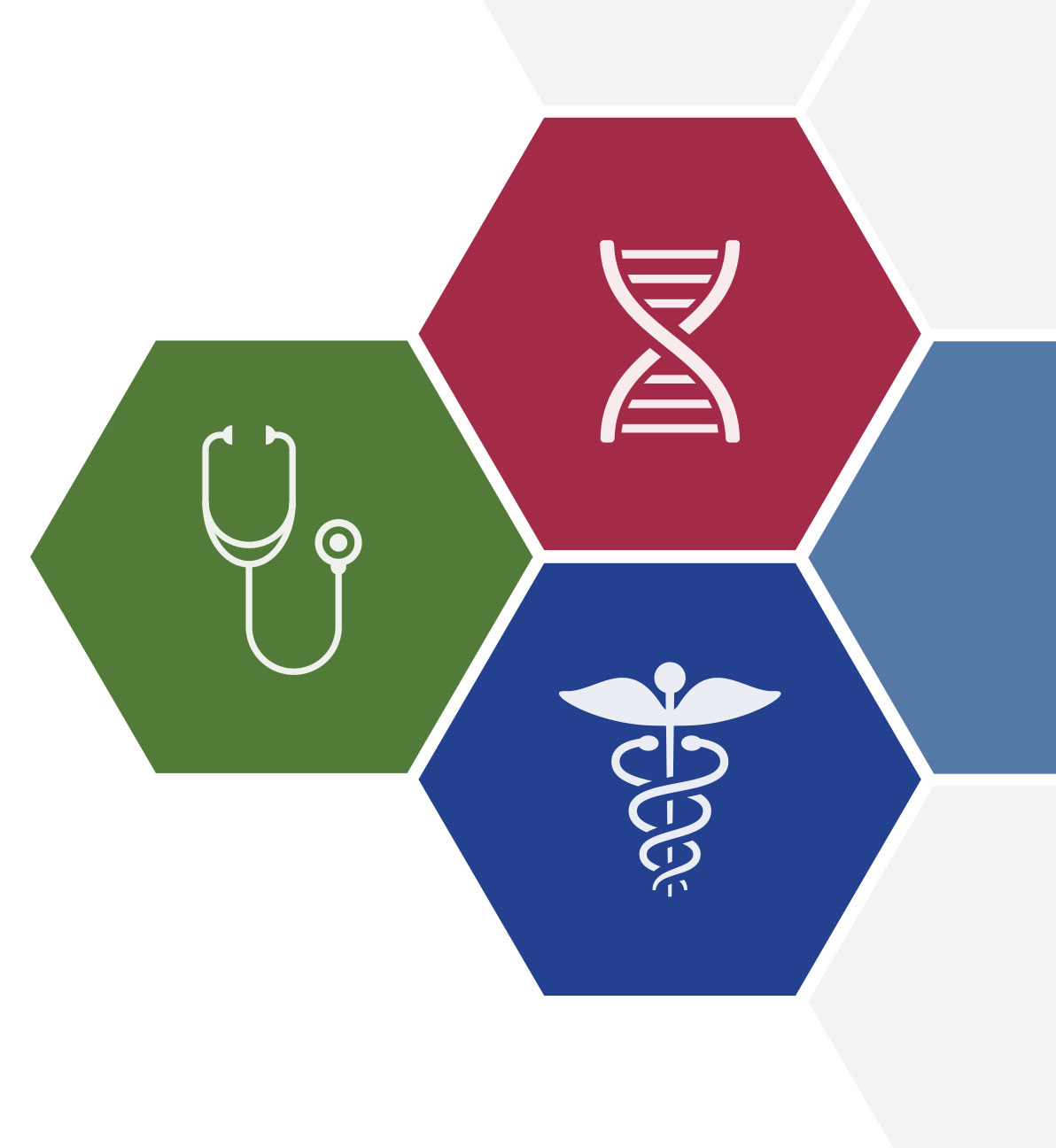 Medicare and Medicaid: A Fifty-Year Retrospective - Anisfield School of ...