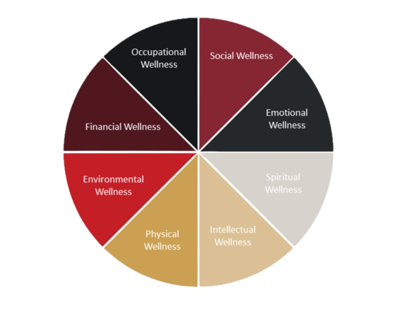Wellness Is Now Peer Education - Health Promotion || Ramapo College of ...