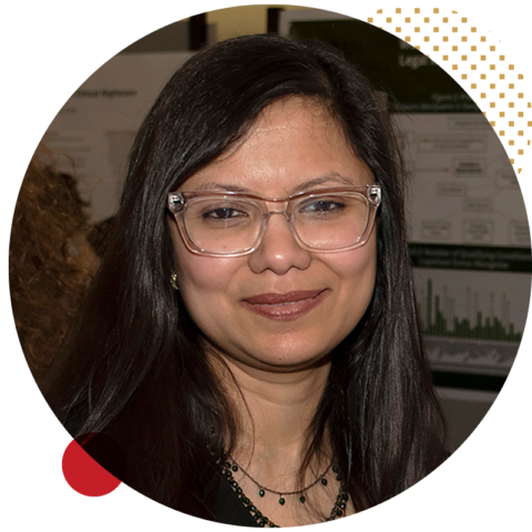 Voices Amplified: Faculty Research, Publications, and Presentations - Ramapo College Magazine