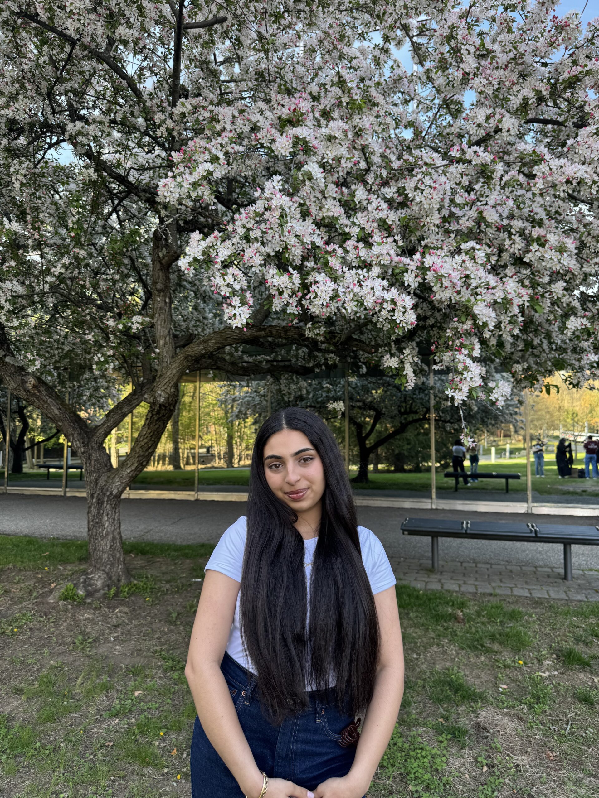 Demiana Ghattas - Peer Facilitators