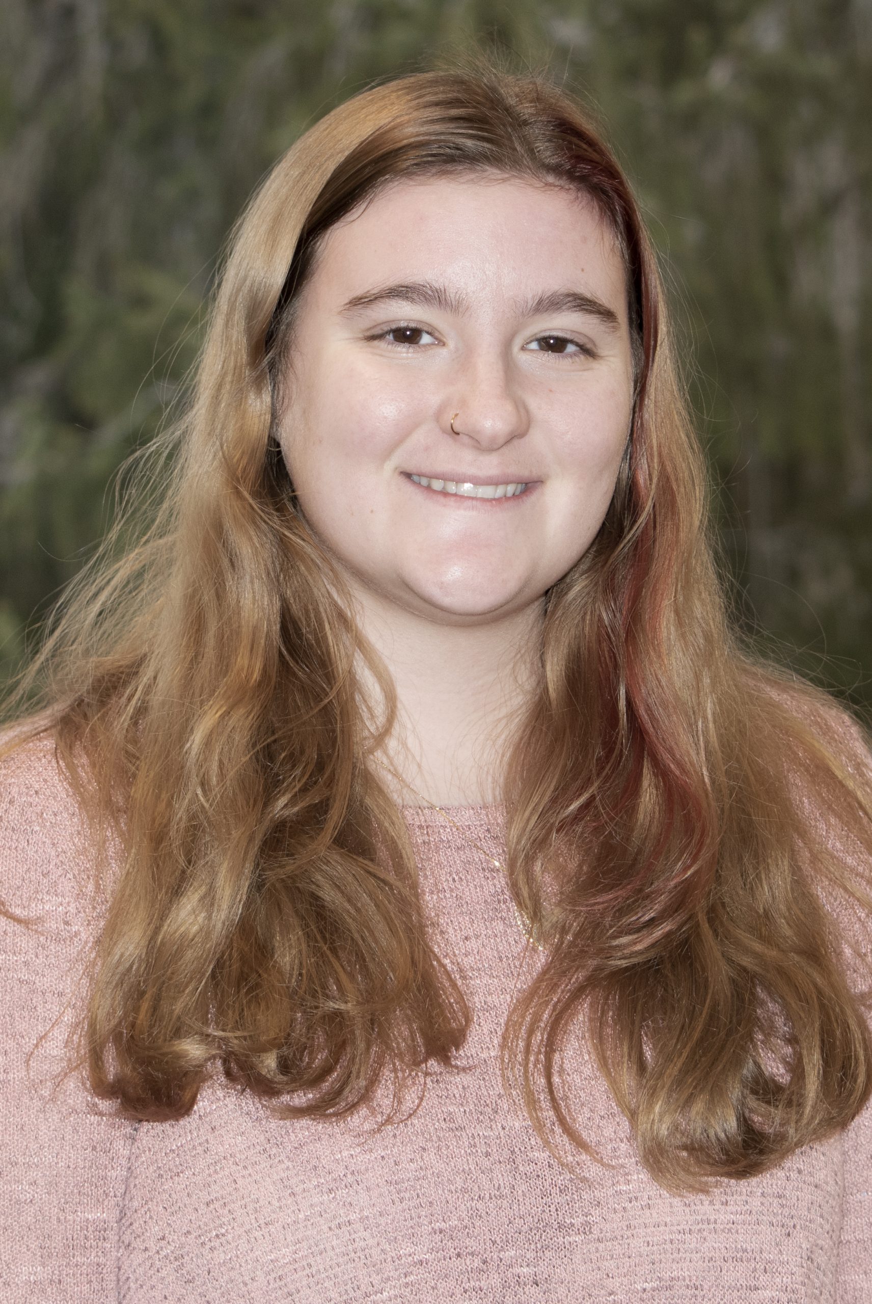 Adler Endowed Scholarship - Scholarships