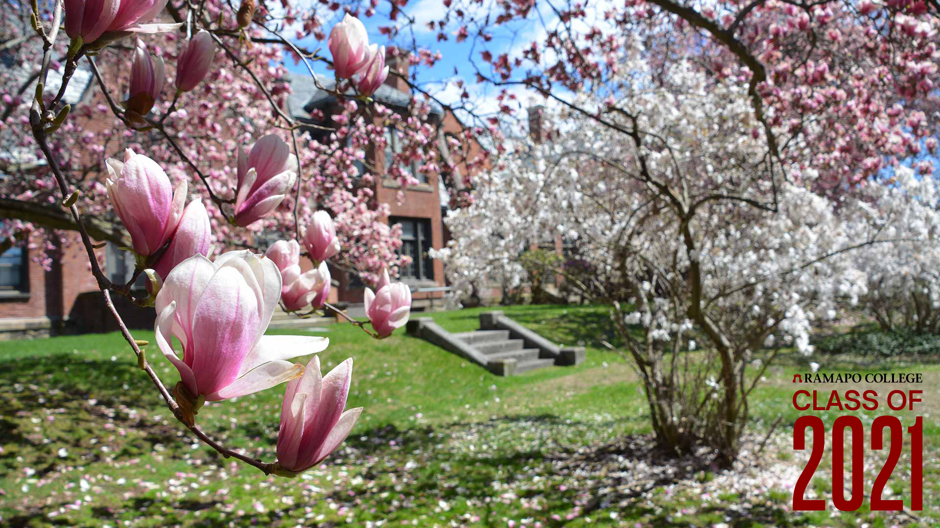 Congratulations Class of 2021 - Social Media || Ramapo College of New ...