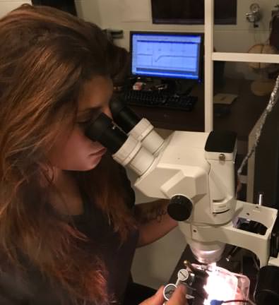 Faculty/Student Research - School of Social Science and Human Services ...